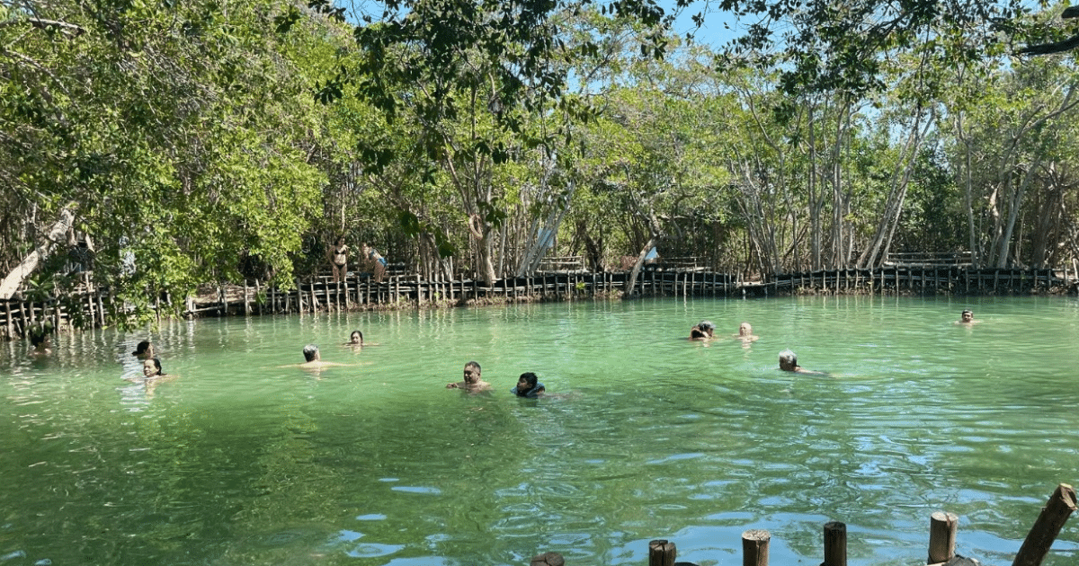 “El Corchito”, un santuario natural en Progreso