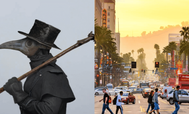 ¿Peste negra en California? detectan un caso de peste bubónica