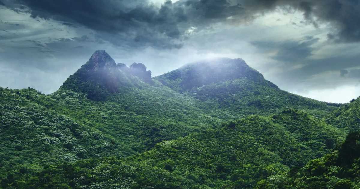 Turismo en Puerto Rico: Descubre la magia natural de El Yunque