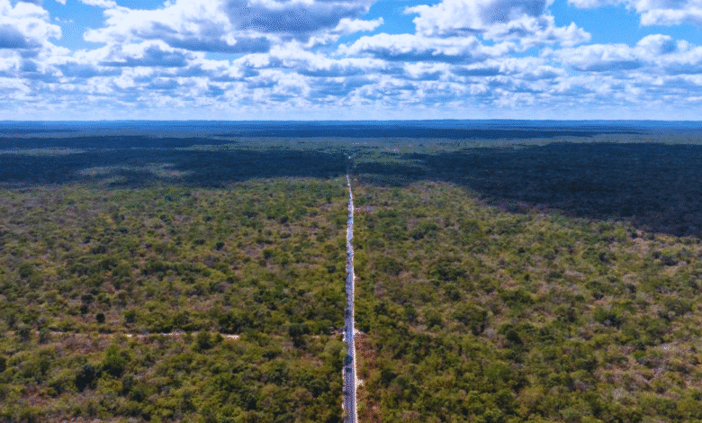 Rehabilitan camino Cacao–San Antonio Mulix con inversión de 3.3 mdp en ...