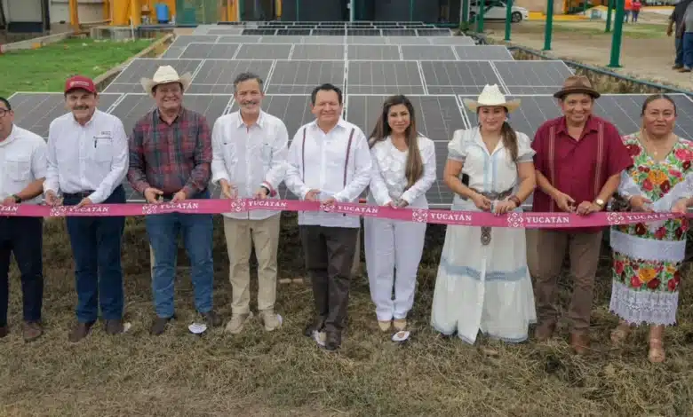 Impulsan campo yucateco con inversión citrícola, energía solar y ...